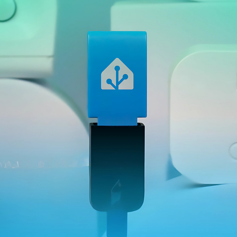 Home Assistant Connect ZBT-1 – DinamoTech